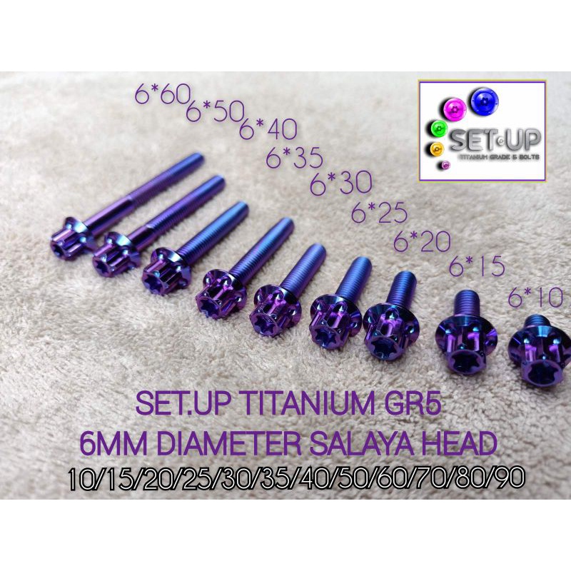 TITANIUM GR5 6MM SALAYA HEAD (1PC ) | Shopee Philippines