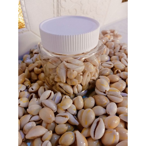 Sigay For Sungka 100pcs in Jar | Shopee Philippines