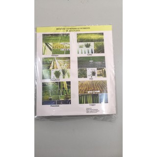 MOET Kit Minus One Element Technique Kit | Shopee Philippines