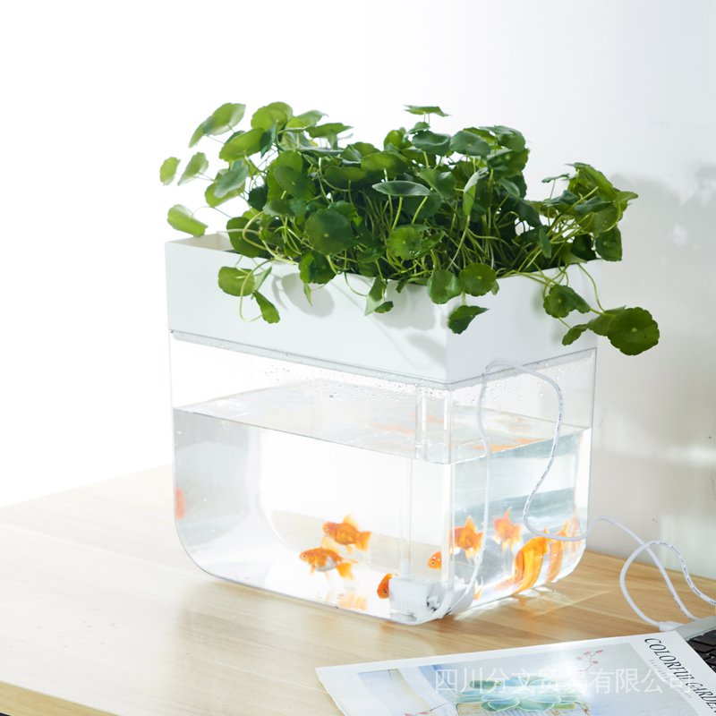Water-Free Lazy Amphibious Ecological Self-Cleaning Household Small ...
