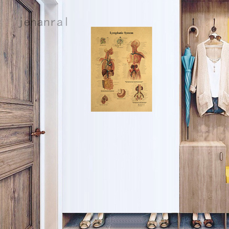 Human Body Interpretation Diagram-Lymphatic System Kraft Paper Retro ...