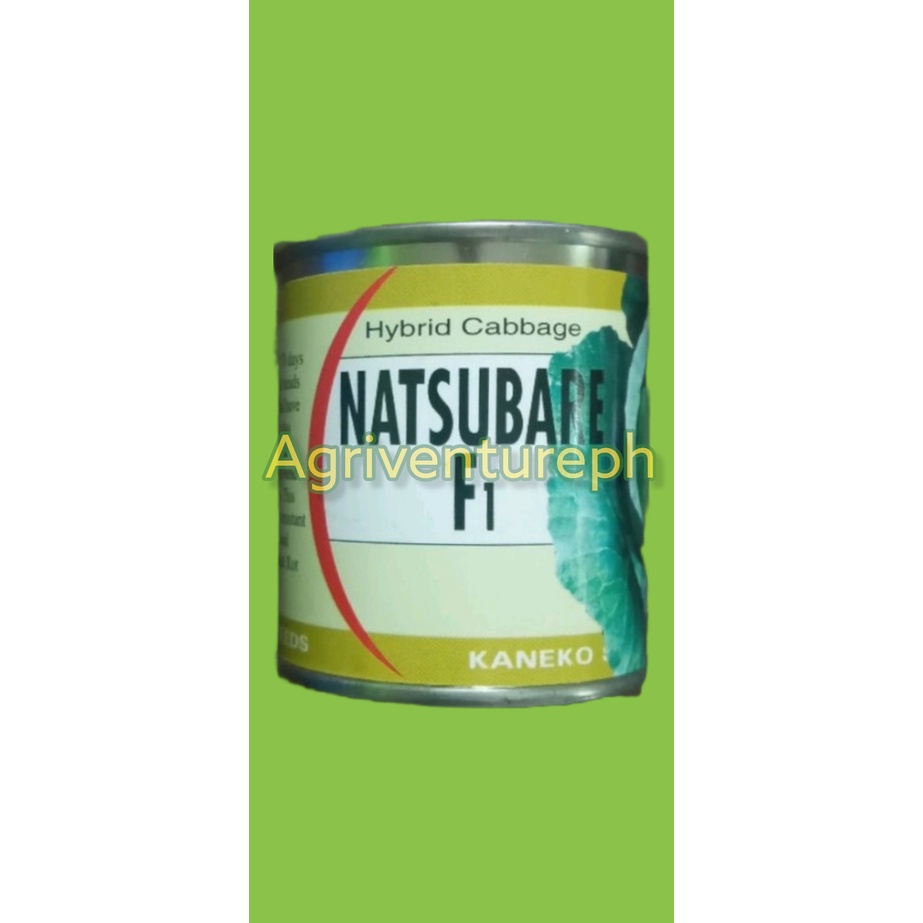 NATSUBARE F1 HYBRID CABBAGE SEEDS 50 GRAM CAN (KANEKO) | Shopee Philippines