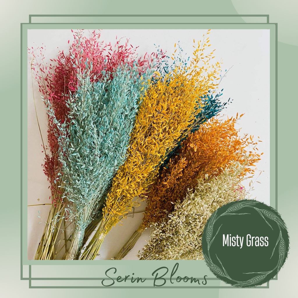 Local Dried Misty Grass sold per bundle | Shopee Philippines