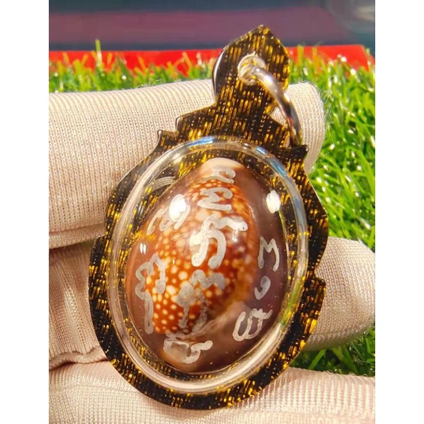 Holy Shell-Tai Top Monk-Lp Yo thai amulet | Shopee Philippines
