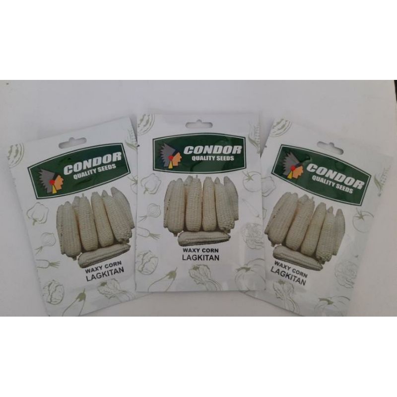 WHITE CORN SEEDS (OPV) LAGKITAN SACHET 10GRMS | Shopee Philippines