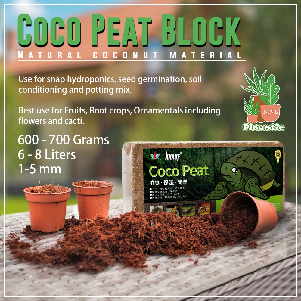 Coco Peat Natural Planting Medium Brick 600g to 700g approx Plant Soil ...