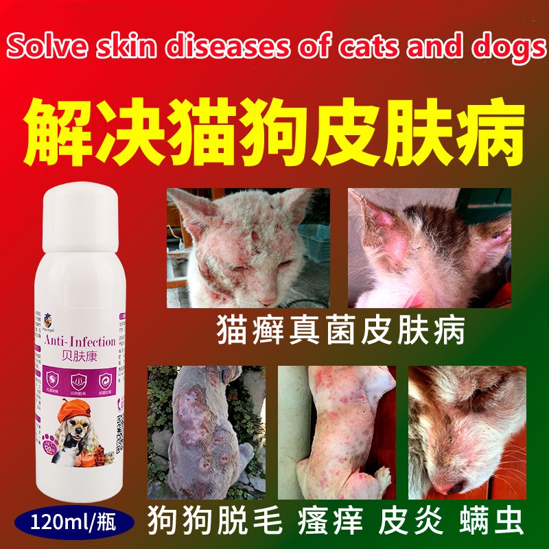 Dogs and cats skin disease, cat ringworm, cat moss, topical medicine ...