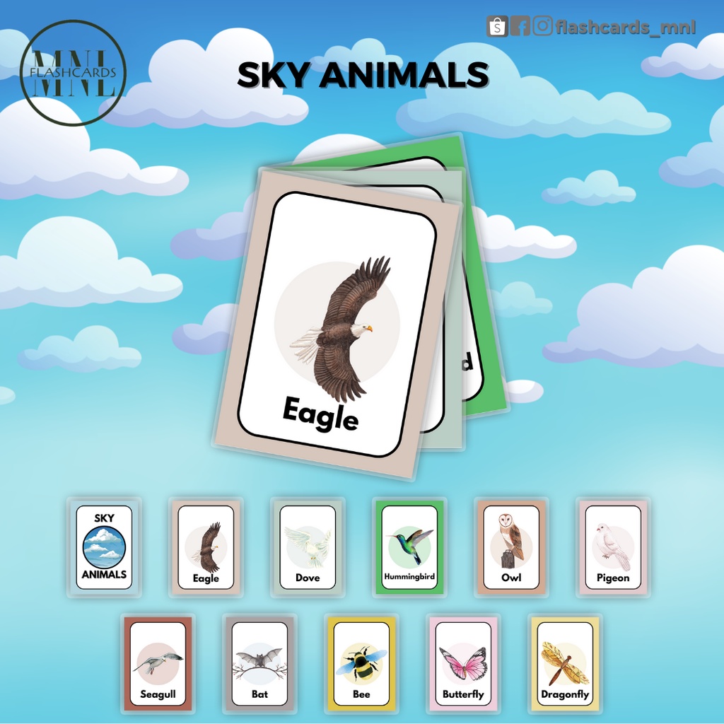 SKY ANIMALS FULLY LAMINATED FLASHCARDS WTH OR WITHOUT RING BIND 11 PCS ...