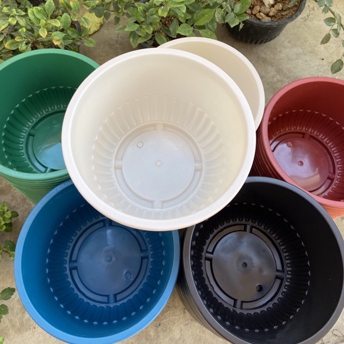 FAMILIFE 6pcs (Half Dozen) 11" x7" Big Colored Round Pots/Safe-Plastic ...