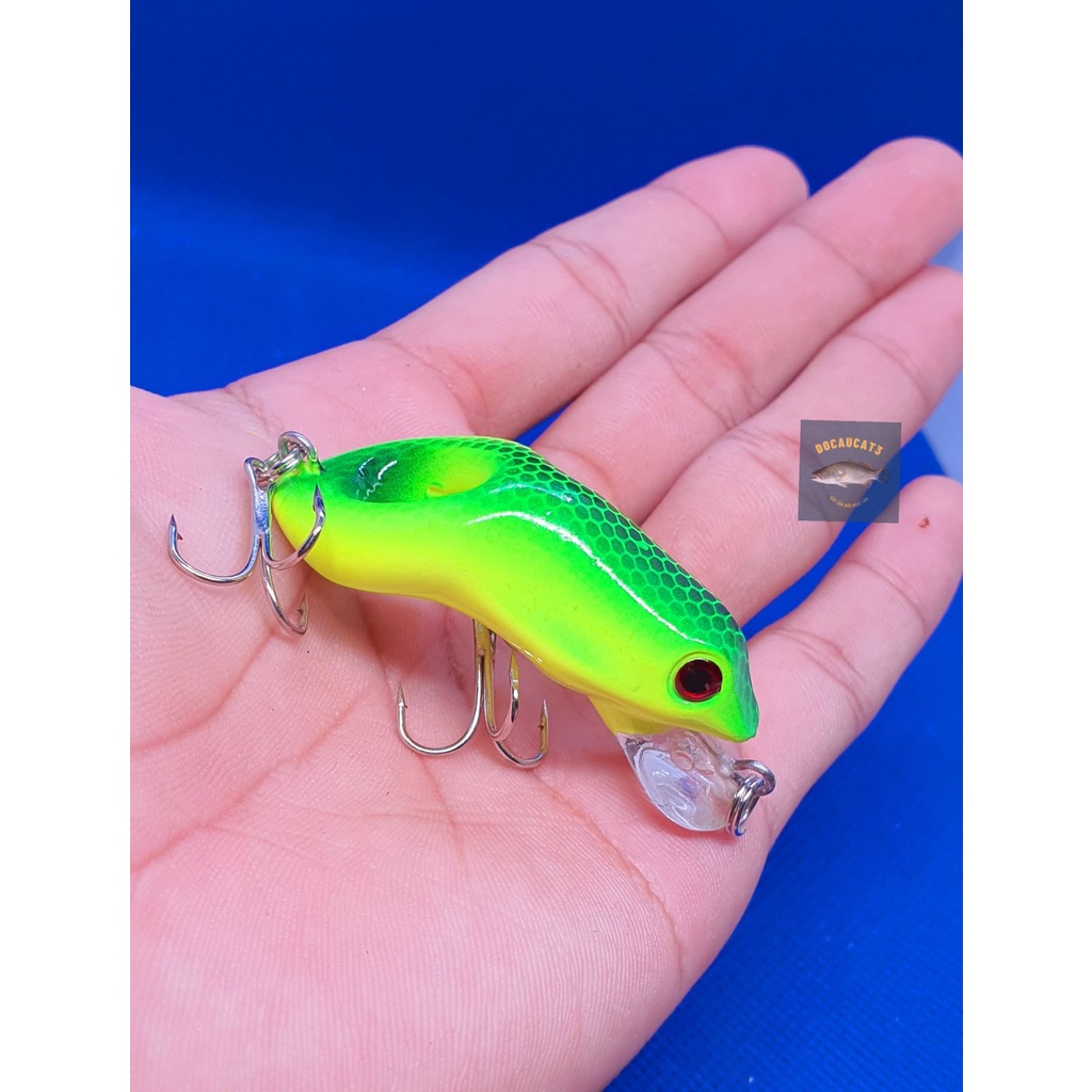 Action Beetle-shaped fishing lure attracts snakehead fish, snakehead ...