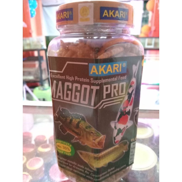 Maggot pro fish food fly larvae premium dry larvae channa koi | Shopee ...