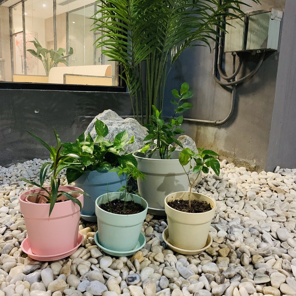 (s) European style imitation ceramic plastic flower pots, plant pots ...