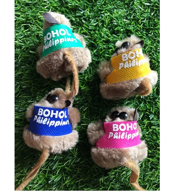 bohol souvenir ref magnet | Shopee Philippines