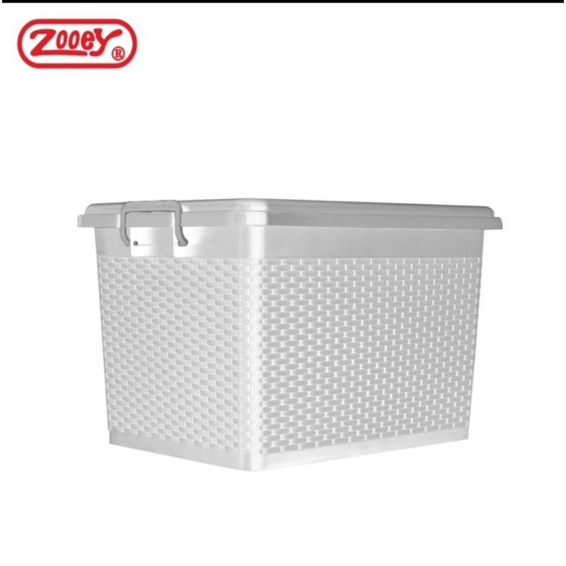 ZOOEY RATTAN PICNIC BOX | Shopee Philippines