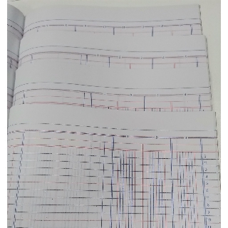 Veco Accounting Columnar Notebook 707 (2pcs) | Shopee Philippines