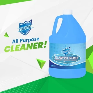 Shop all purpose cleaner for Sale on Shopee Philippines