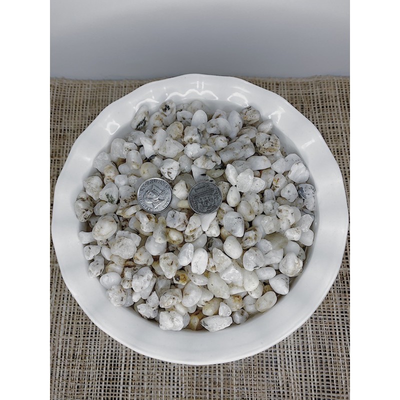 Pebbles Plants/Aquarium - Assorted, Black, Boracay, White Selected ...