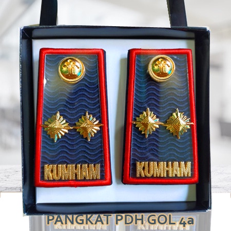 Selling PDH GOL 4A Rank | Shopee Philippines