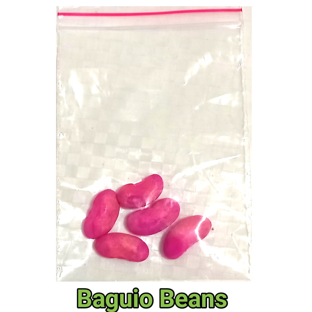 BAGUIO BEANS 1 POUCH = 5 SEEDS | Shopee Philippines