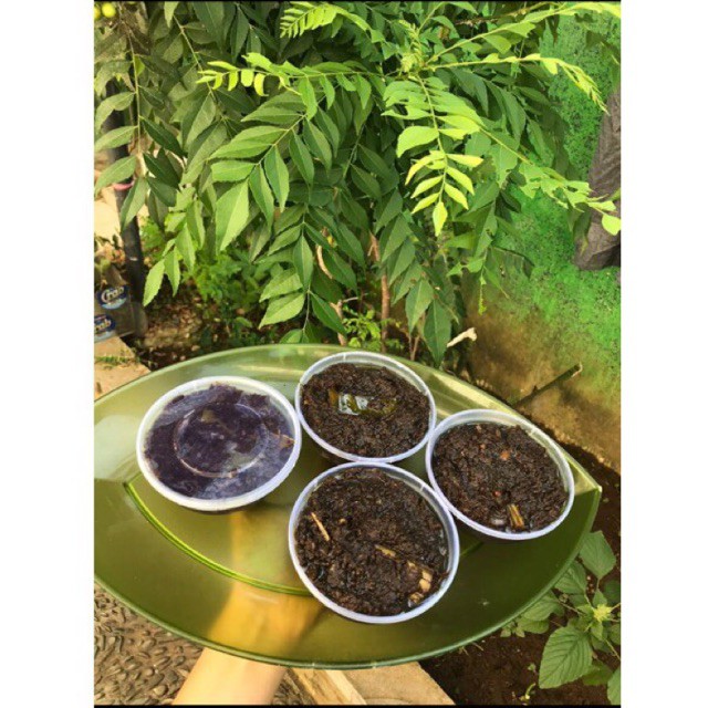 100% instant seasoning without preservatives and MSG frozen 200gr ...