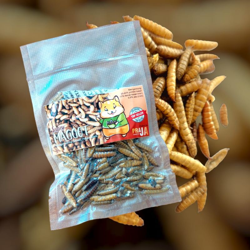 Super Maggot BSF (Black Soldier Fly) Hamster Food | Shopee Philippines