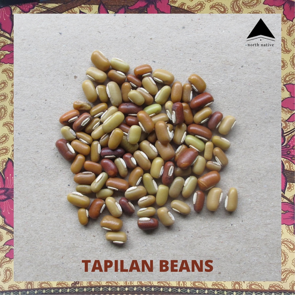 Tapilan Beans, 1kg, Sproutable Rice Beans or Vigna beans from Negros ...