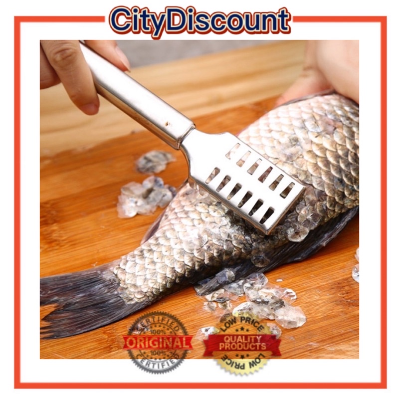 COD Fish scale remover Stainless Steel Fish Scale Remover Cleaner ...