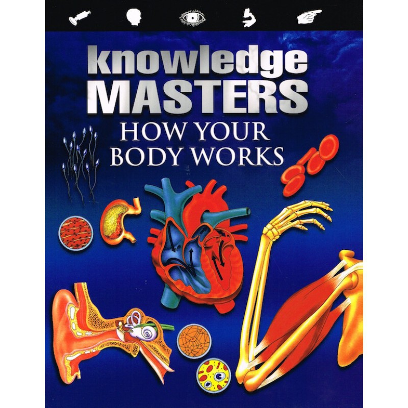 How Your Body Works Book (Knowledge Masters) | Shopee Philippines
