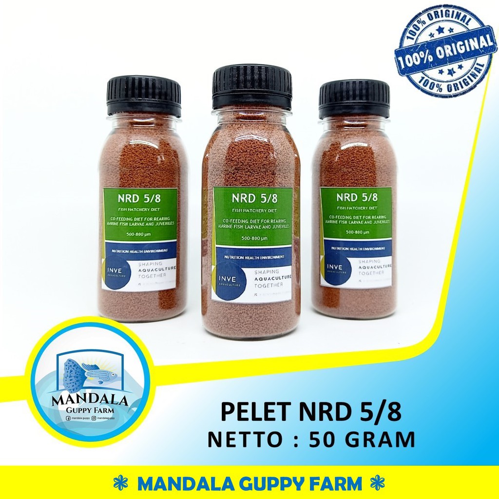 NRD 5/8 Thailand Pellets 50 Grams Fish Food | Shopee Philippines
