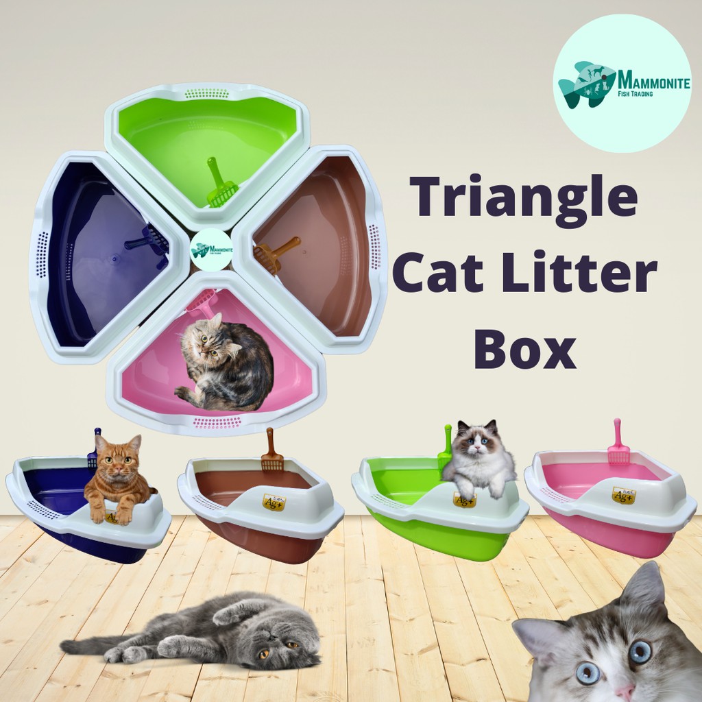 Triangle Cat Litter Box With Free Scooper 21x16x7 Inches For Young and ...