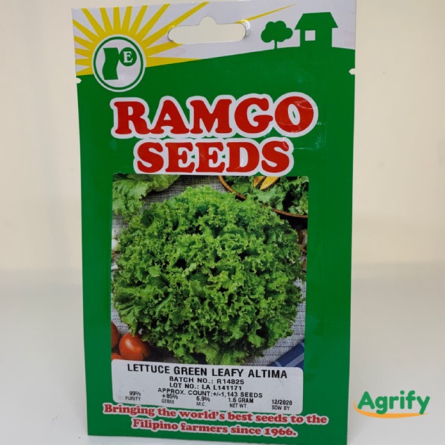 Ramgo Lettuce Green Altima Seeds – Samgyup Lettuce | Approx. 1600 Seeds ...