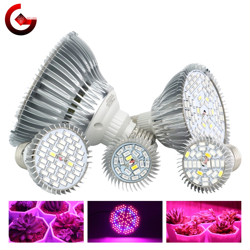 Got Liang LED Grow Light Full Spectrum E27 UV IR LED Growing Bulb for ...