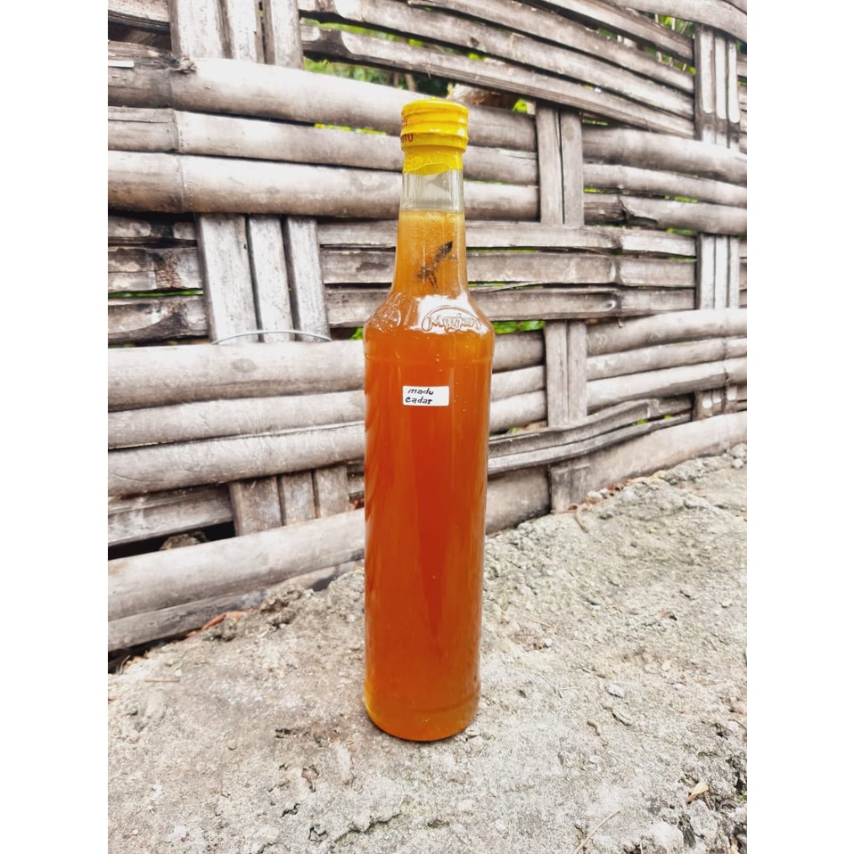 Genuine Batu Cadas Honey pure wild forest honey / Riau Cadas Honey ...