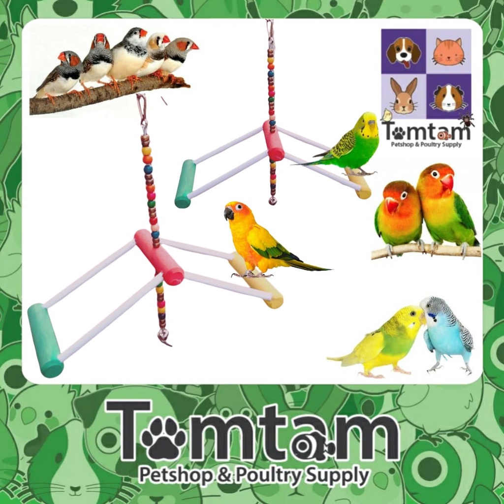 Parrot Lovebirds Wooden Colorful Bird Toys Seesaw Type Perch Swing ...