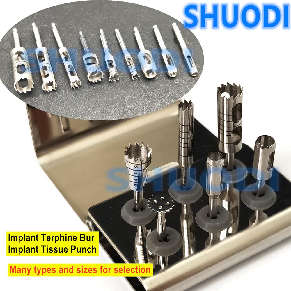 Dental Implant Bur Implant Planting Tools Surgical Disk Tools with ...