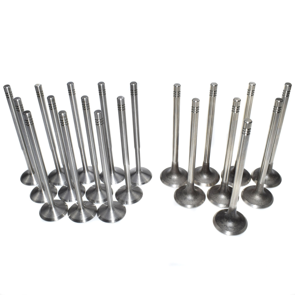 20Pcs Intake Exhaust Valves For VW Golf GTI MK4 Passat Beetle Jetta ...