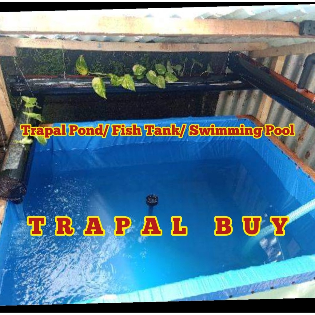 4ft x 8ft x 2ft AZOLLA POND / CRAYFISH POND MARUYAMA PG FLEX FISH TANK ...