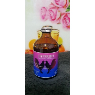 HYPER B12 INJ. 100ML | Shopee Philippines