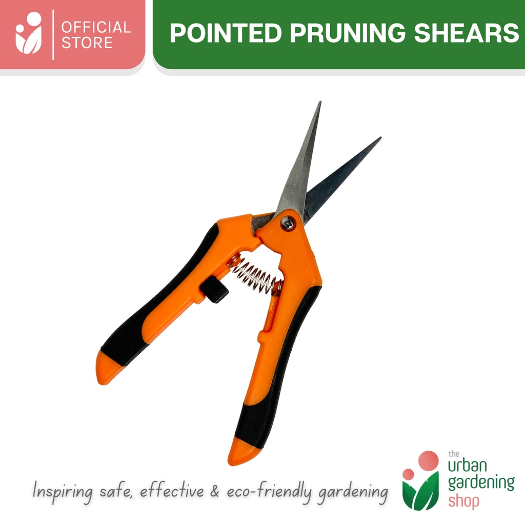 THE URBAN GARDENING SHOP Pointed Pruning Shears For Pruning, Cutting and Trimming Leaves and ...