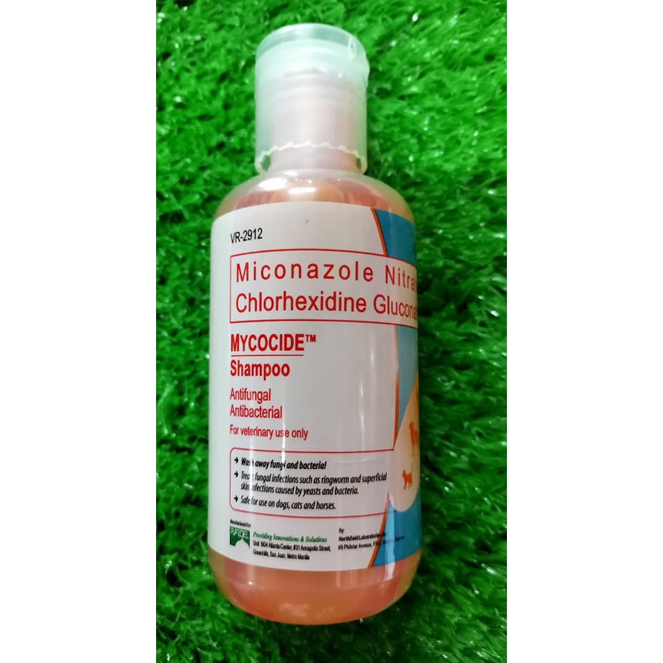 Mycocide Shampoo (Anti-fungal | Antibacterial) for dogs, cats, and ...