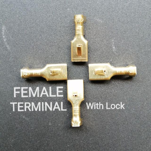 Eye Terminal: 5/16, 3/16, 1/4, Female with lock, Male (10pcs) | Shopee ...