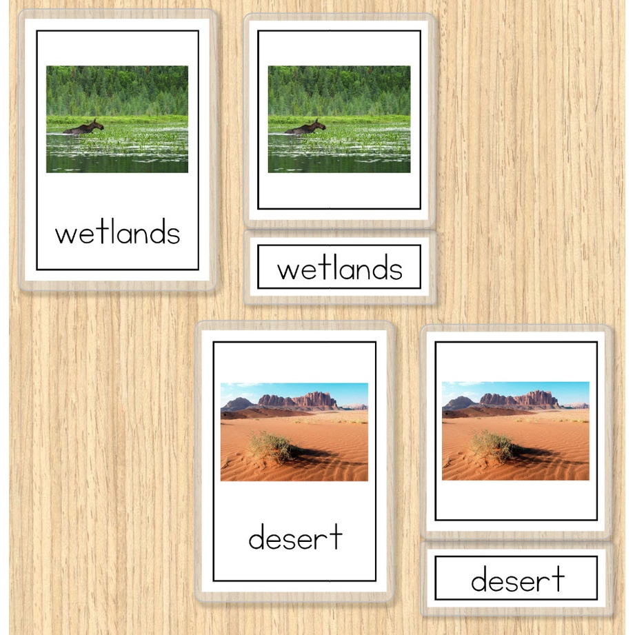 BIOMES of the WORLD - 7 Biomes - Montessori Three-Part Cards ...