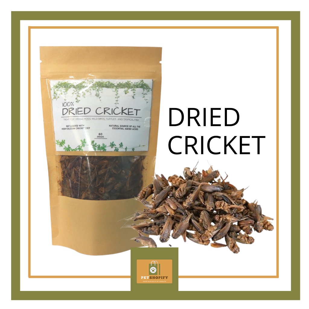 DRIED CRICKET FOR FISHES, BIRDS, AND EXOTIC REPTILES (60GRAMS) - READY ...