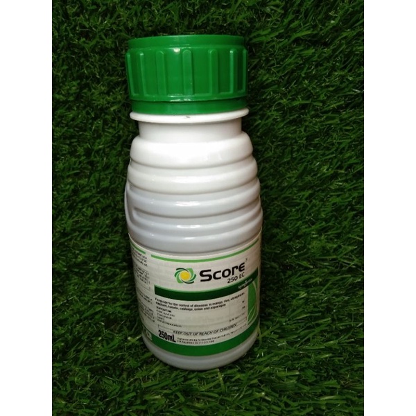 Score 250EC Fungicide ( 250ml / 500ml ) | Shopee Philippines