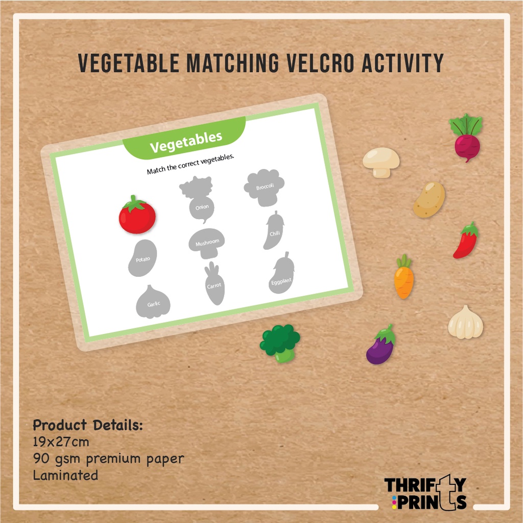 Vegetable Matching Laminated With Velcro Learning Material Activity ...
