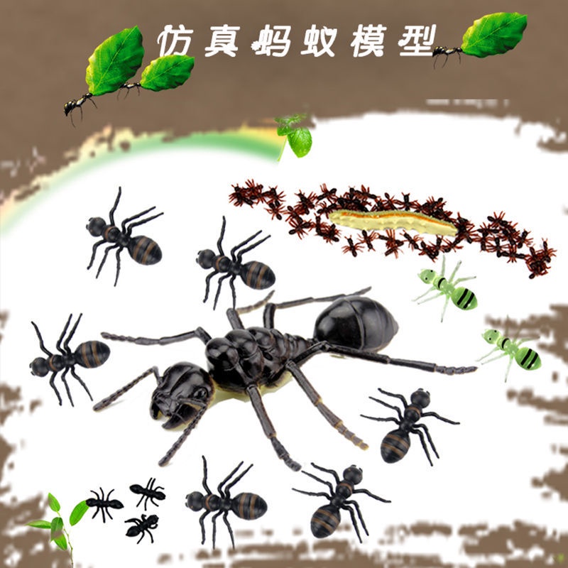 Simulation Ant Model Big Small Plastic Insects Multi-Foot Shooting ...