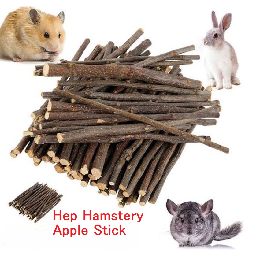 Apple Stick for Hamster , Rats, Mice, Rabbit, Guinea Pig and Other ...