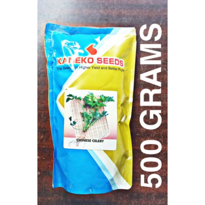 CHINESE CELERY SEEDS OR KINCHAY SEEDS 500 GRAMS BY KANEKO SEEDS ...