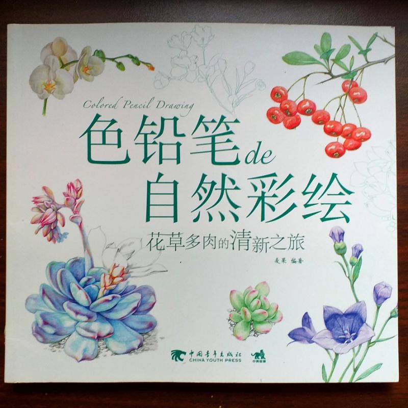 Colored Pencil Drawing (Chinese) | Shopee Philippines