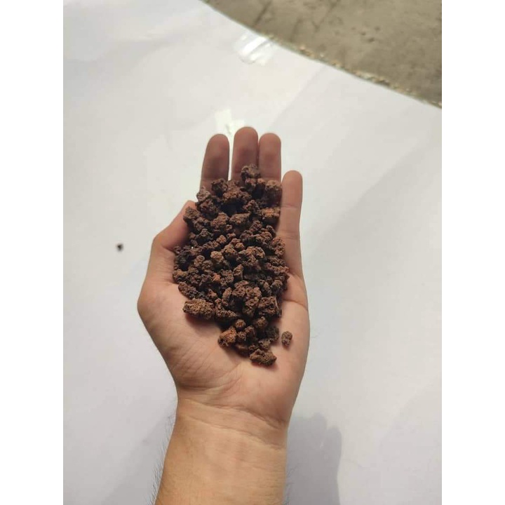 Lava Rocks #5 Ready to Use Substrate | Shopee Philippines